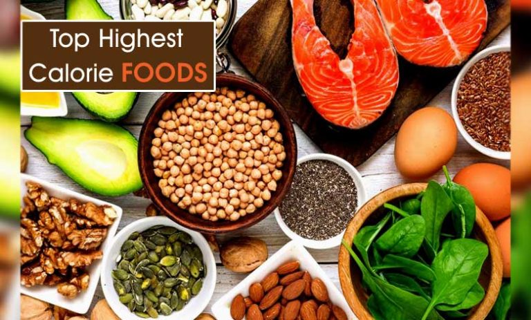 The Highest Calorie Foods Needs Everyone Everyday - SVG